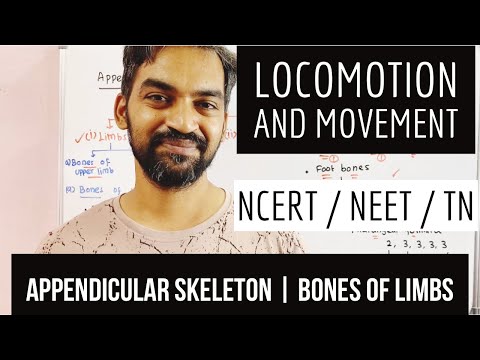 Appendicular Skeleton | Bones of Limbs | Locomotion and movement