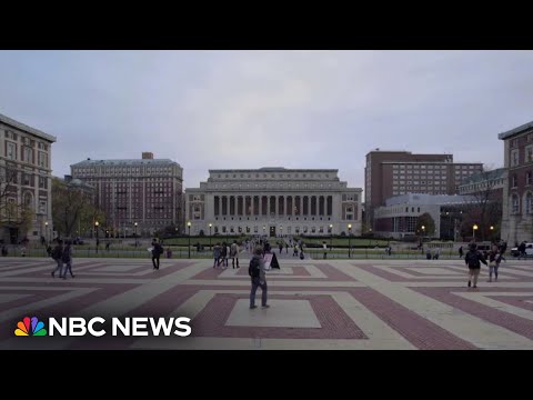 Professors worry federal funding cuts to universities will threaten research and democracy