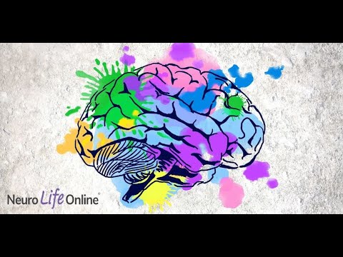 Your Brain on Art