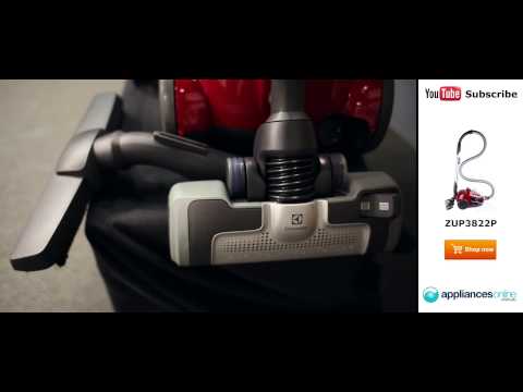 Small and powerful Electrolux Vacuum Cleaner ZUP3822P reviewed by expert - Appliances Online