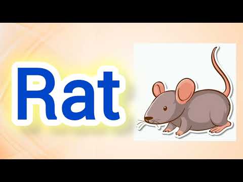 What's that? A Quiz on Words that ends with 'at'