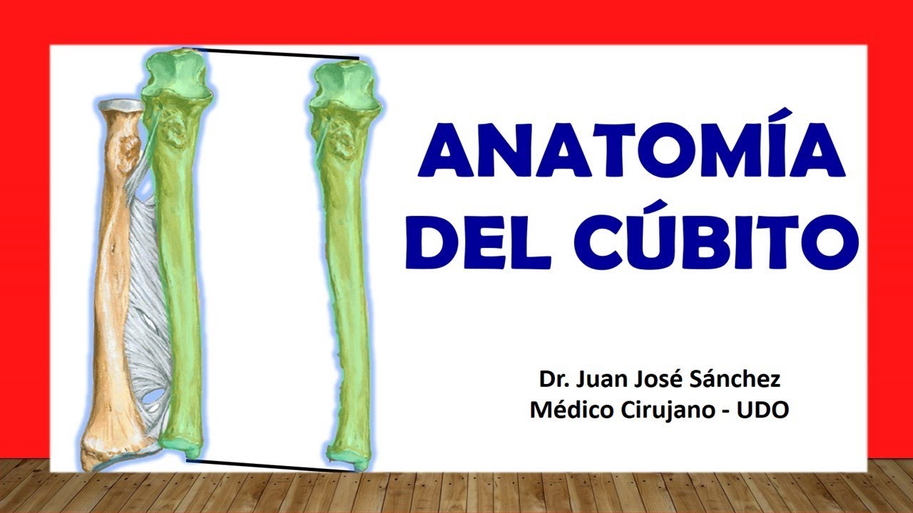 🥇 Anatomy of the CUBIT. Easy, Quick and Simple