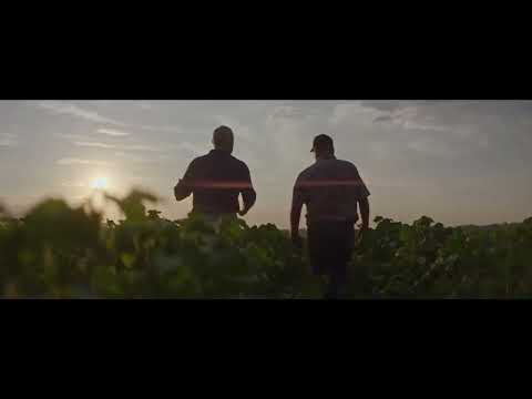 The Next Generation of Weed Control: Liberty® ULTRA Herbicide