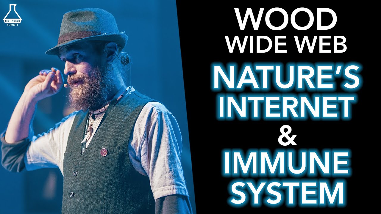 Yarrow Willard - The Earth Medicine Upgrade