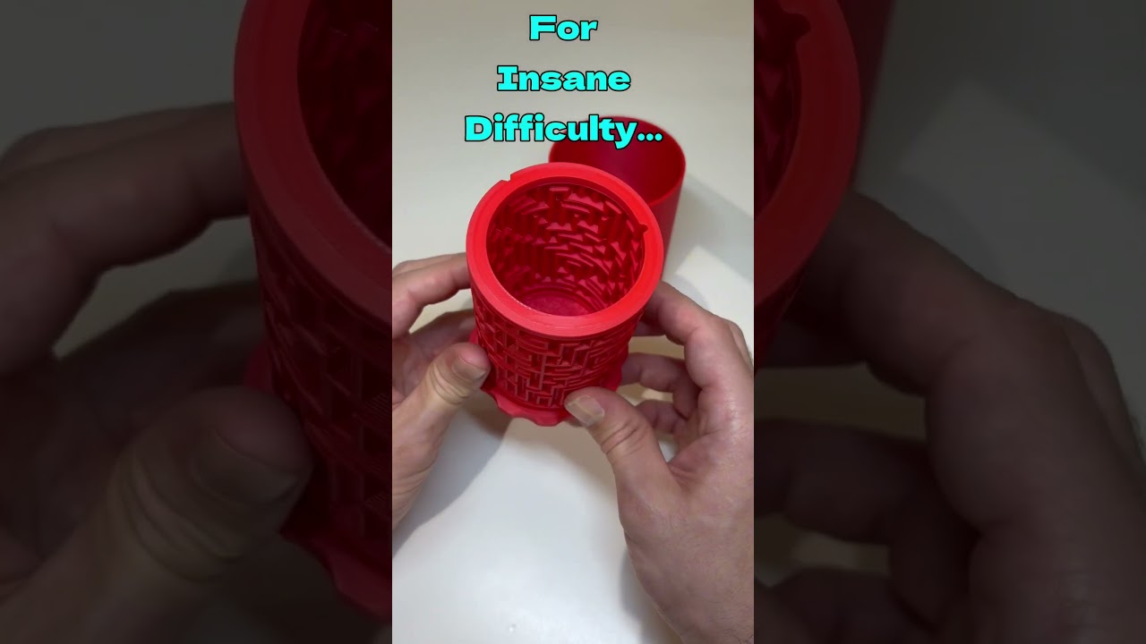 Last minute Christmas Gift 3D printed Dual layer puzzle maze