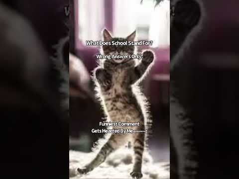What Does School Stand For? #funny #meme #shorts