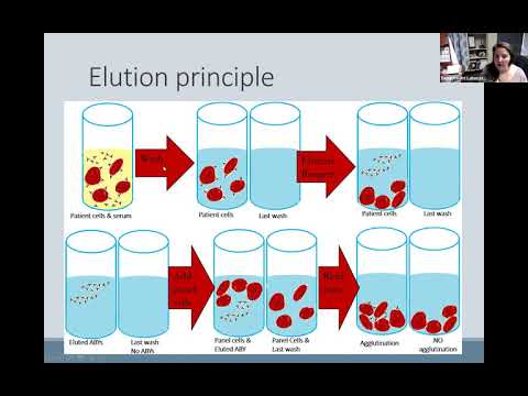 BloodBank Lecture 31 2020