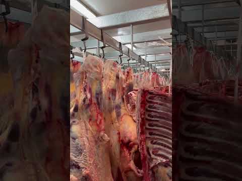 Butcher Shop Walk Through #meat #delivery #day @ 58-62 Woods St, Laverton 3028