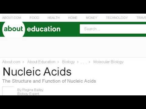 Foods That Contain Nucleic Acids