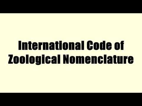 International Code of Zoological Nomenclature