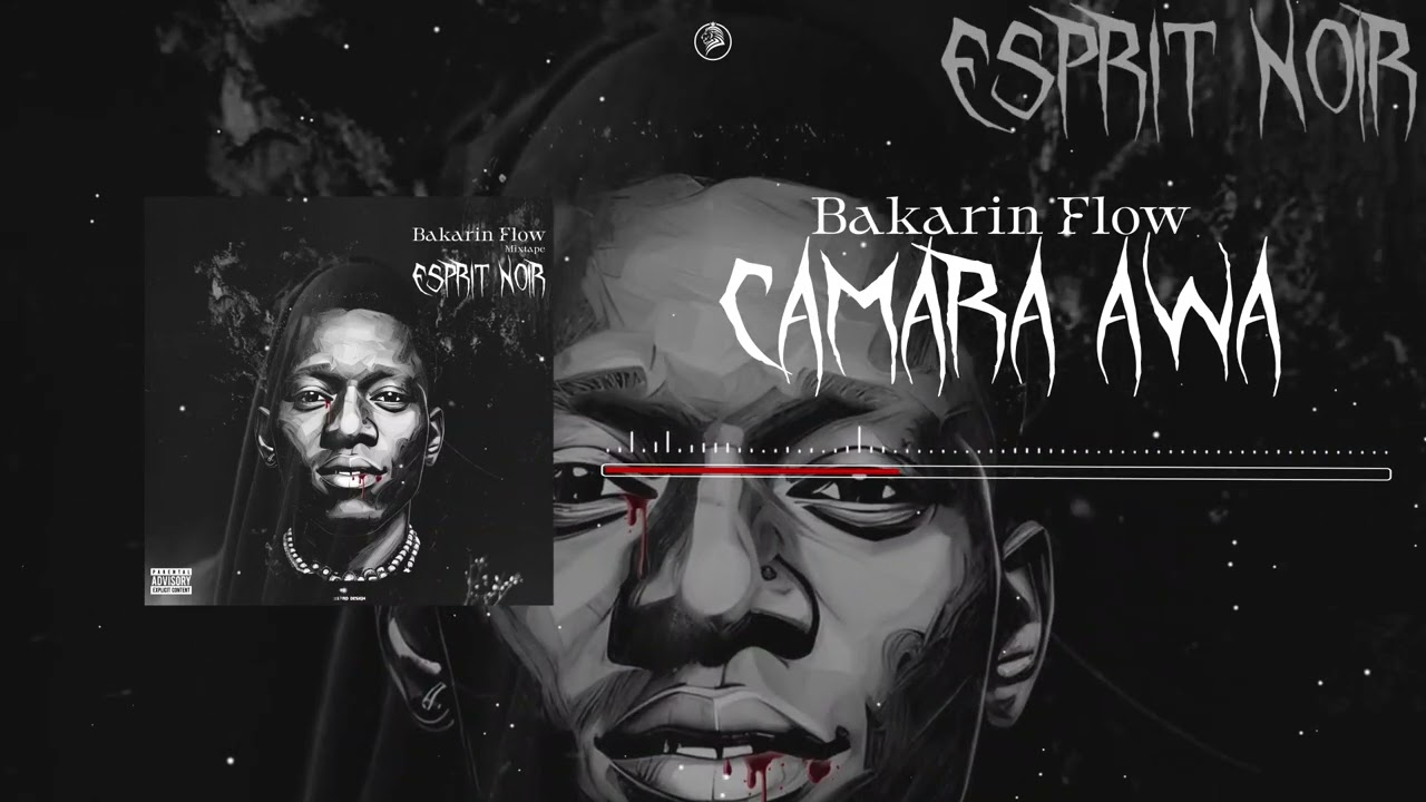 Lyrics & Translations of Camara Awa by Bakarin Flow | Popnable