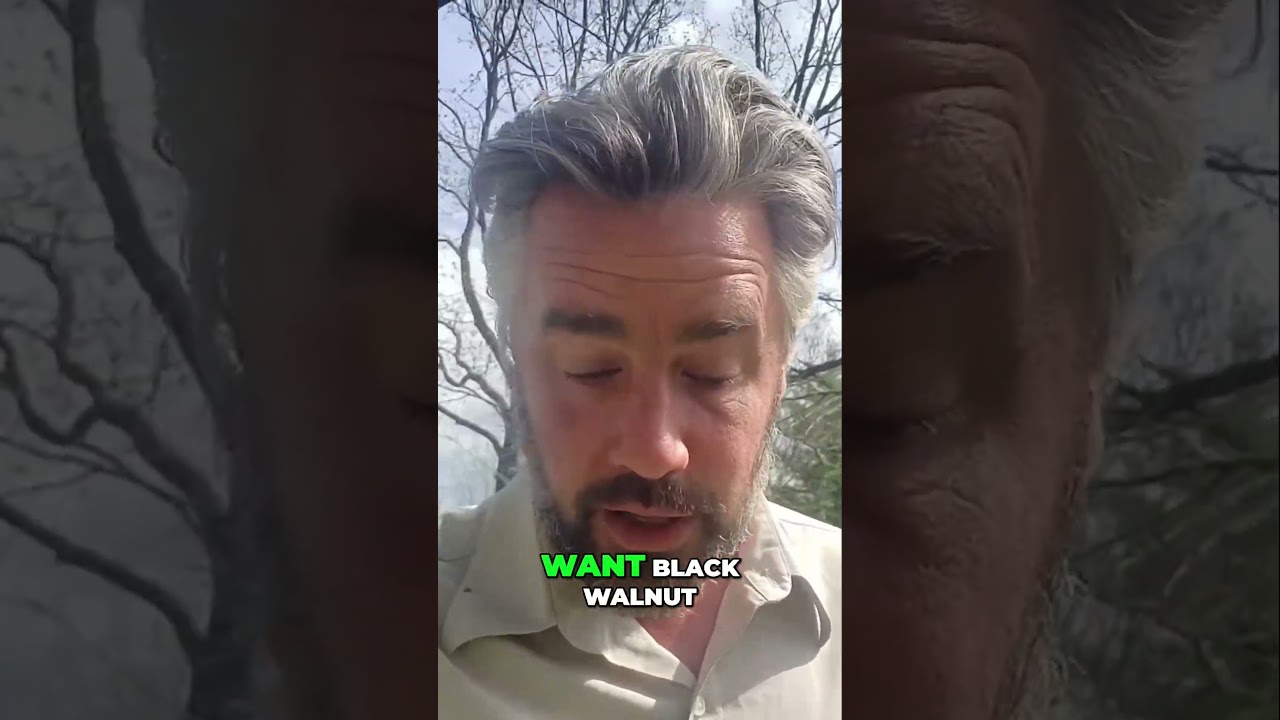 Black Walnut Influence:  Embrace Juglone Tolerant Landscapes! #blackwalnut #juglone #permaculture