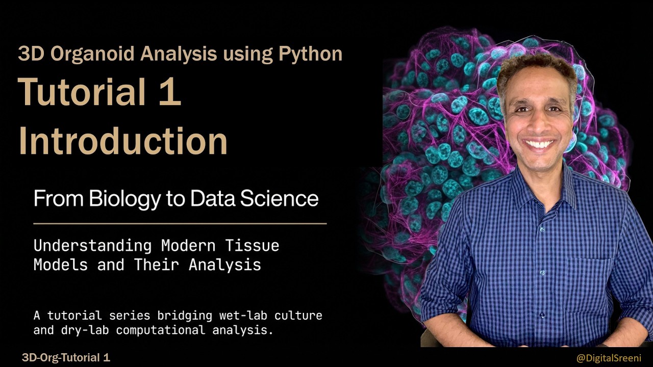 3D Organoid Data Analysis with Python | Tutorial 1: Introduction & Pipeline Overview
