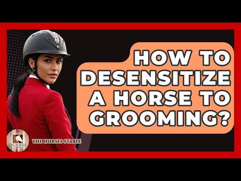 How To Desensitize A Horse To Grooming? - The Horses Stable