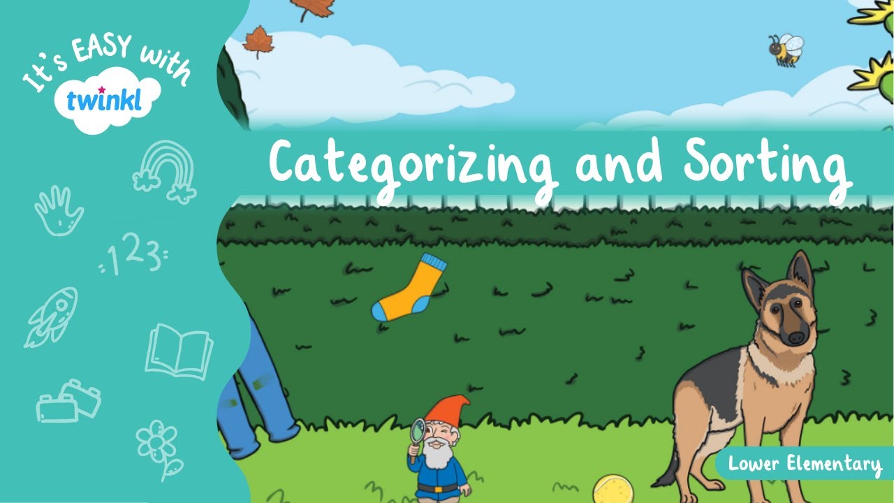 Categorizing and Sorting Objects | It's Easy With Twinkl | Twinkl USA