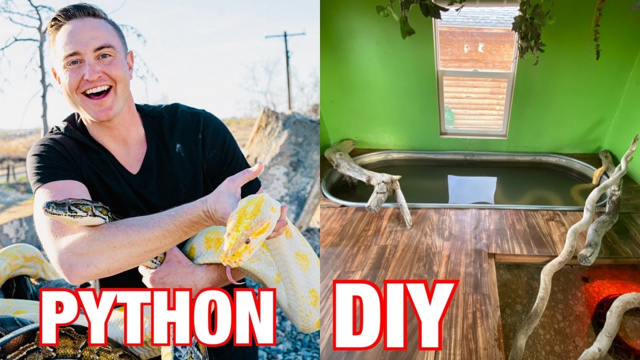 Python DIY: Expanding The Burmese Python Habitat!!!