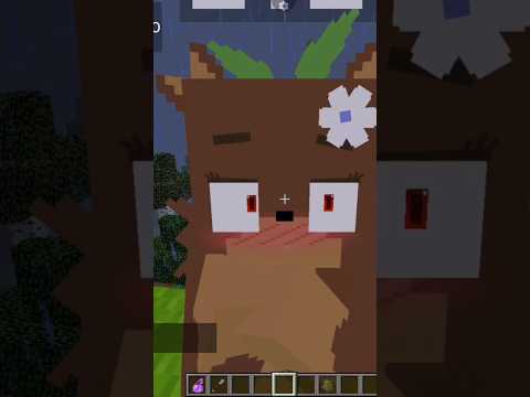 #minecraft Jenny mod
