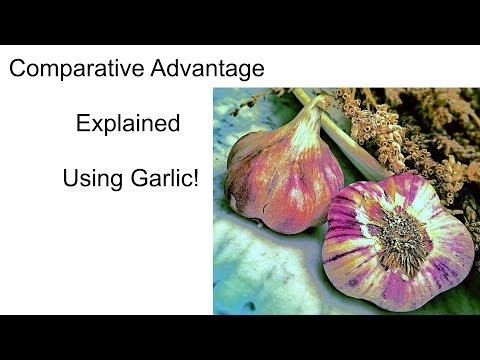 Comparative Advantage - Explained with an example