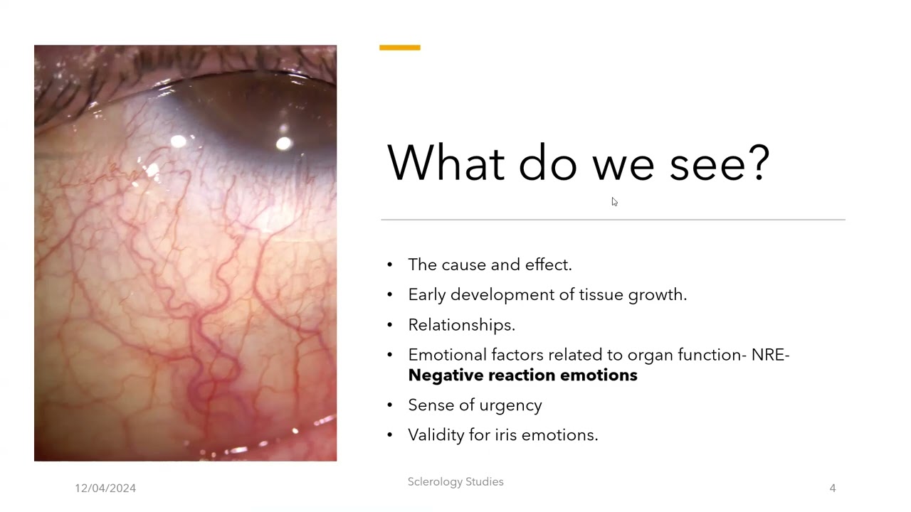 Sclerology Studies 2025