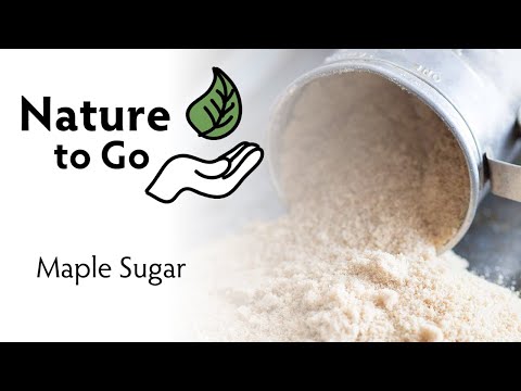 Nature to Go | Maple Sugar – History and Uses of this Springtime Treat