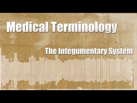 Medical Terminology of the Integumentary System