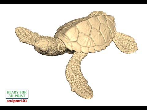 👶 Baby Sea Turtles 3D Printable Models・ 3D File for 3D printing・Cults