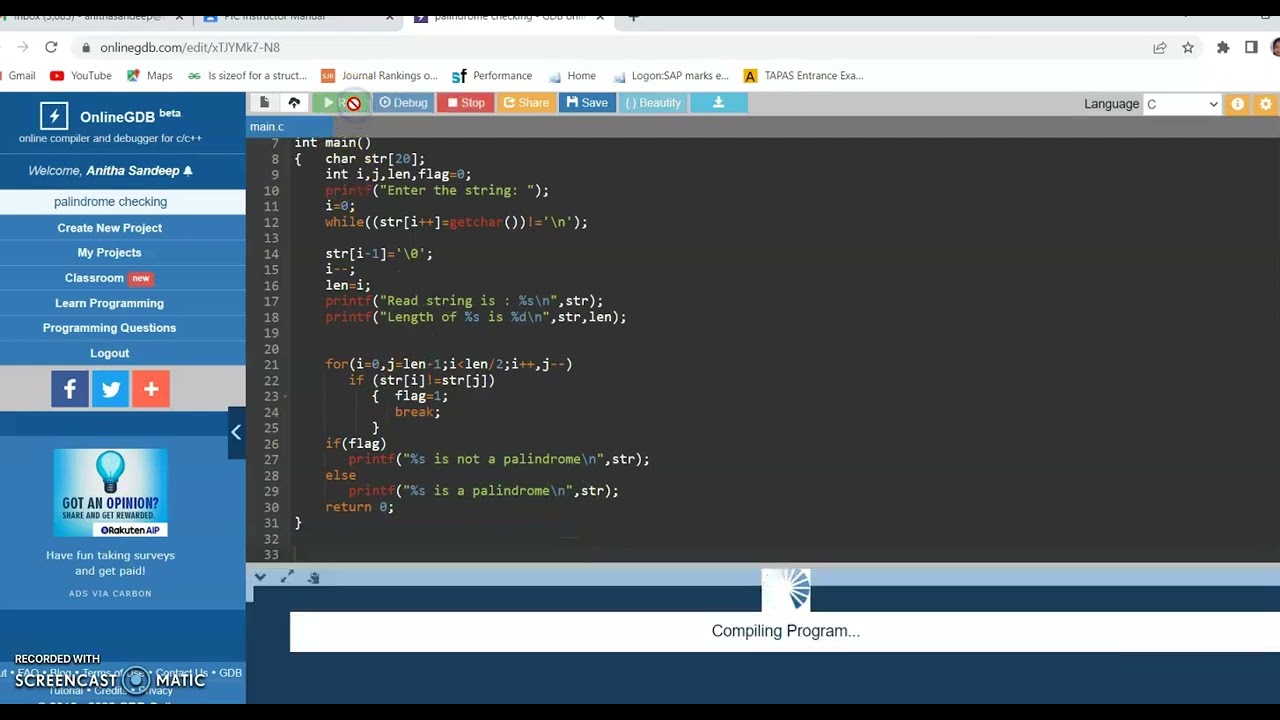 C programming- String palindrome checking using functions and pointers