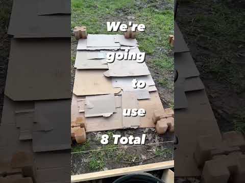 CHEAP! How to Build a Raised Garden Bed! 2023😎🙀