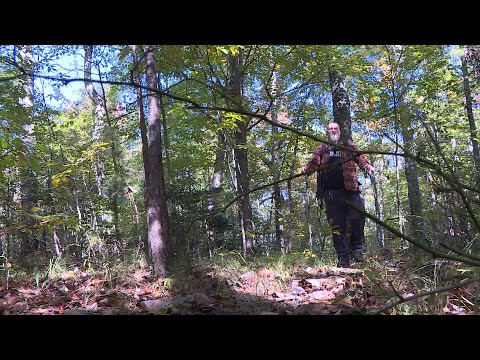 Facebook group leads hikers to Kentucky's natural wonders