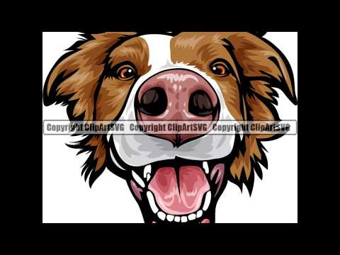 Beautiful Pedigree Dog Breed ClipArt SVG Graphic Design Artwork!