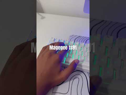 Magegee ts91 keyboard sound #trending #shorts #gaming #keyboard #fortnite