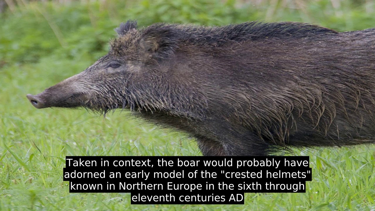 Horncastle Boar's Head