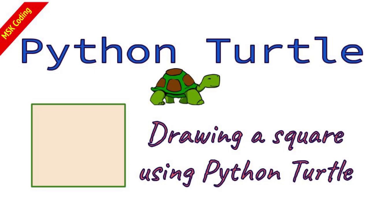 Python Turtle | Introduction | Drawing a square