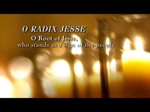 O Root of Jesse – Lavish Mercy