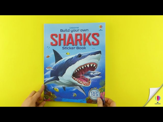 Build Your Own Sharks | Usborne | Be Curious