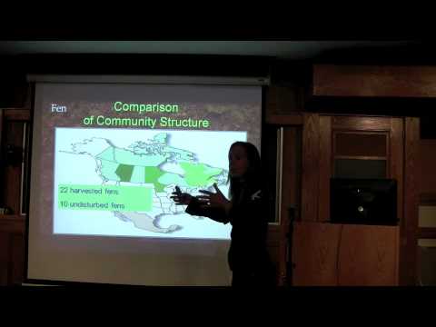 Industrial peatland restoration: how to overcome abiotic filters impeding revegetation