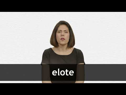English Translation of “ELOTE” | Collins Spanish-English Dictionary