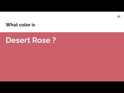 Desert Rose color #cd616b hex color - Red color - Cool color cd616b