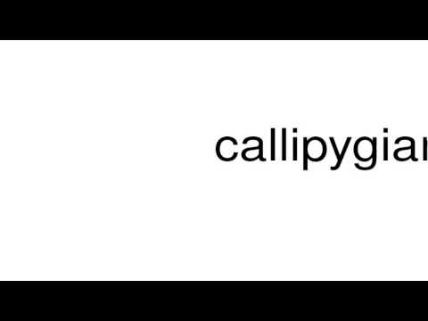 How to pronounce callipygian
