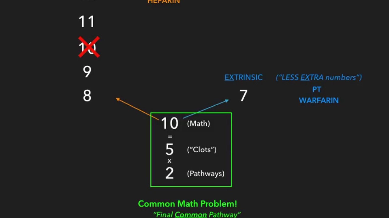 Coagulation Cascade || USMLE
