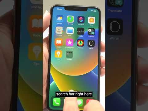 Access Spotlight Search on iOS