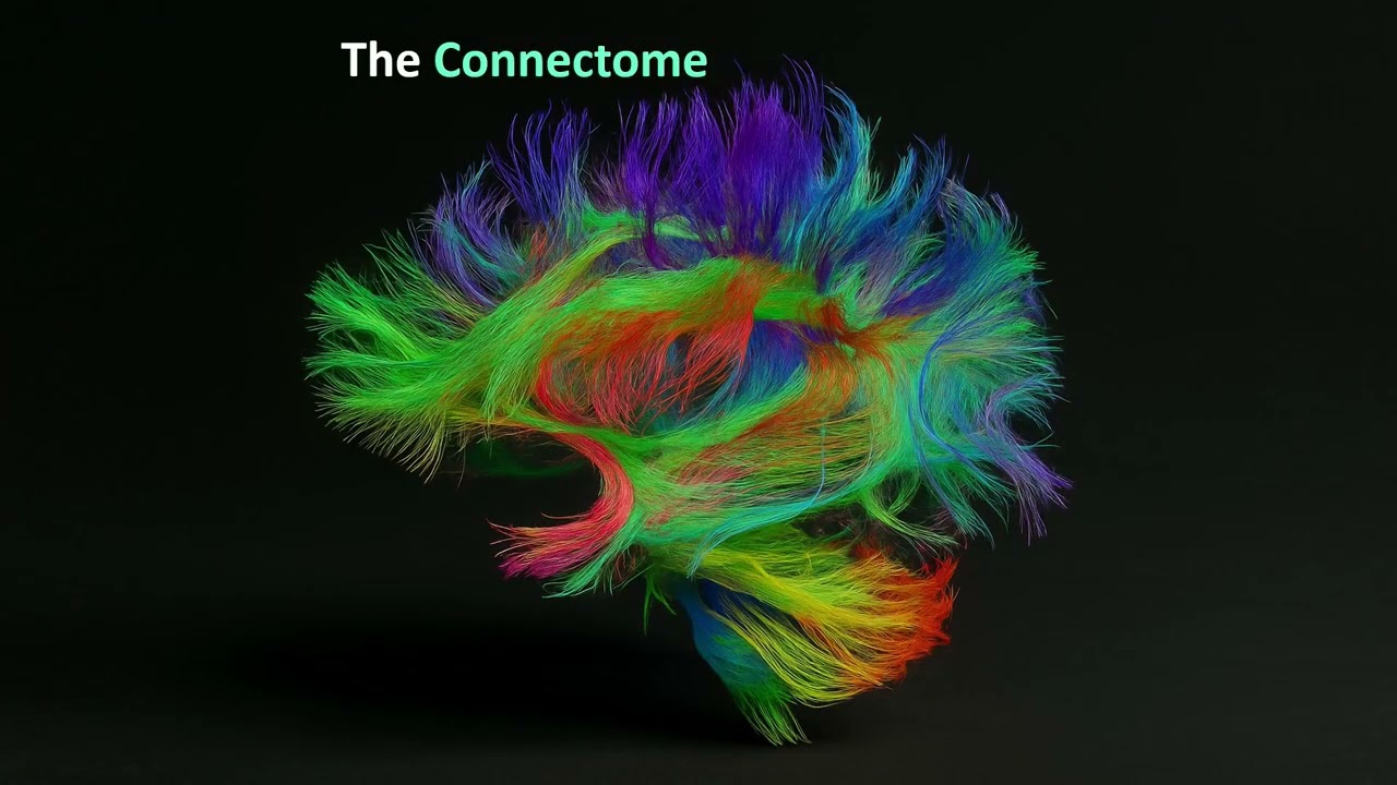 From Fragmented to Foundational: Integrating Data into Actionable Intelligence