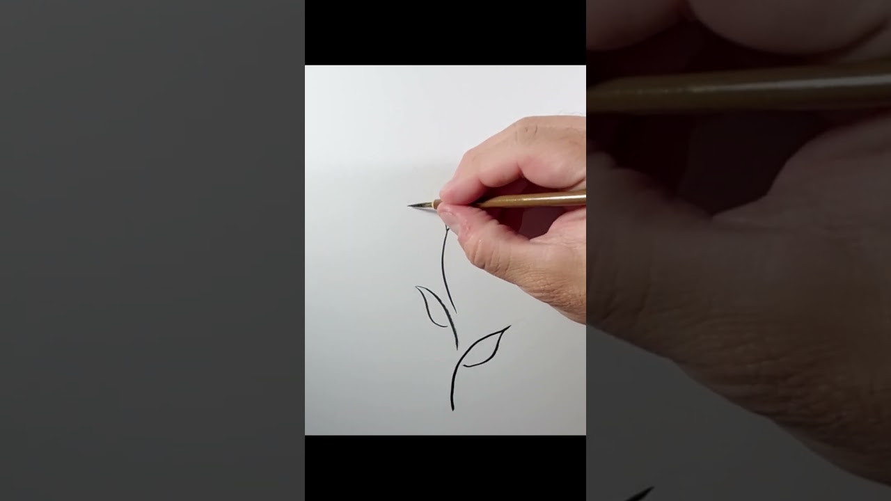 Rose 🌹 Black & White Line Art Drawing | Elegant & Calming Ink Illustration