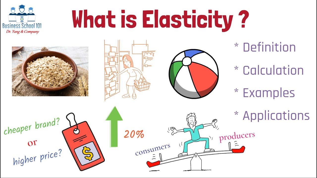 What is Elasticity? | Principles of Economics | From A Business Professor