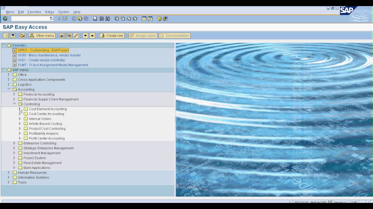 SAP Controlling basic configuration, live demo in the system