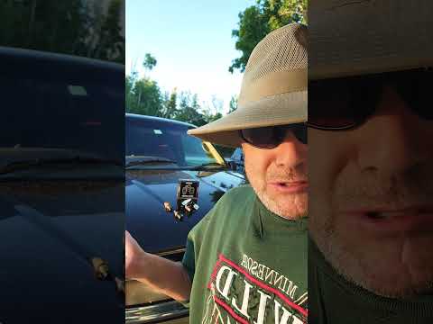 Speedometer Not Working, Tranny Won't Shift ... Which Speed Sensor Really Fits my 96 Chevy 1500?