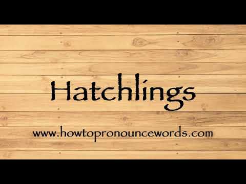 How To Pronounce Hatchlings ? How To say Hatchlings New Video