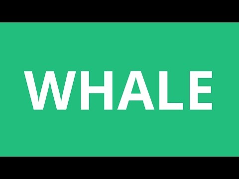 How To Pronounce Whale - Pronunciation Academy