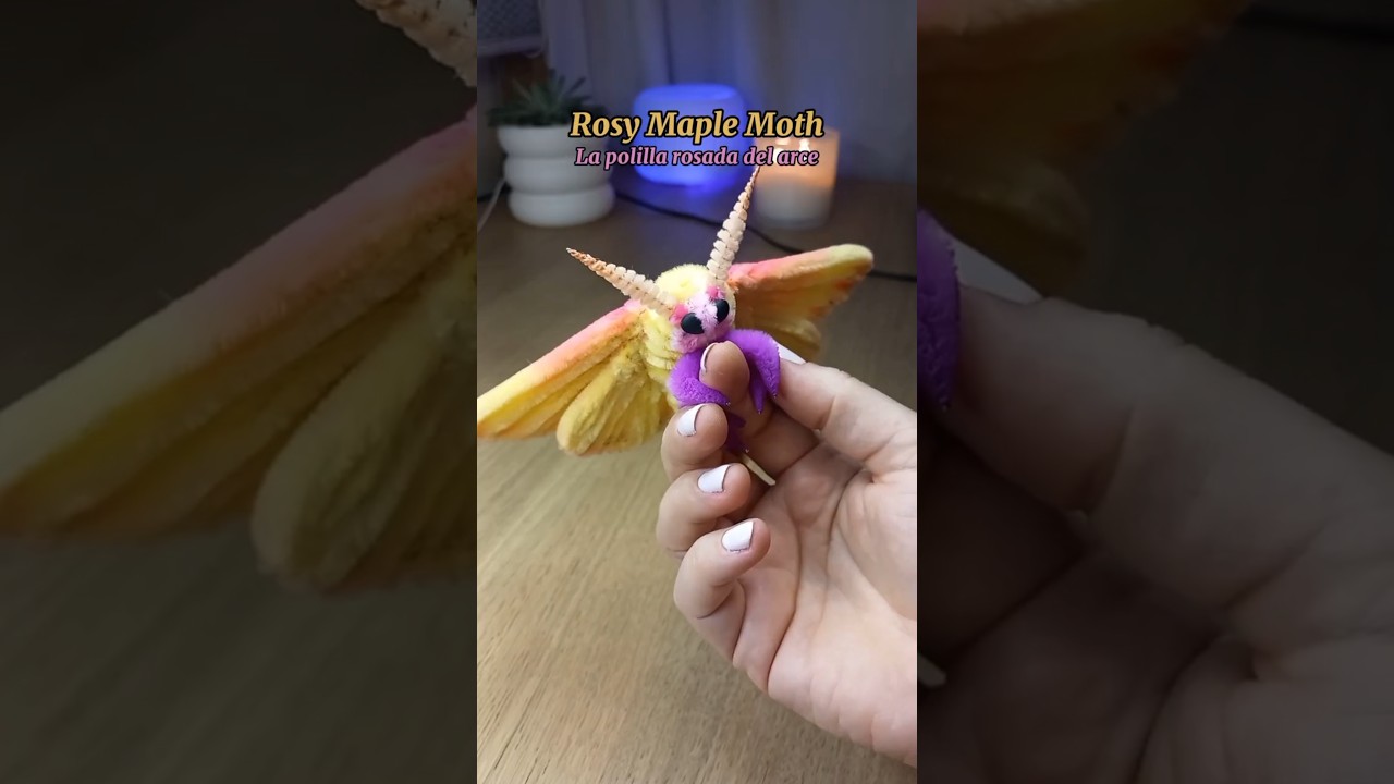 🩷🧡 Rosy Maple Moth DIY🧡🩷 Do your own moth at home!
