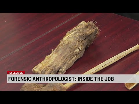 7NEWS Exclusive: Inside the job of a forensic anthropologist